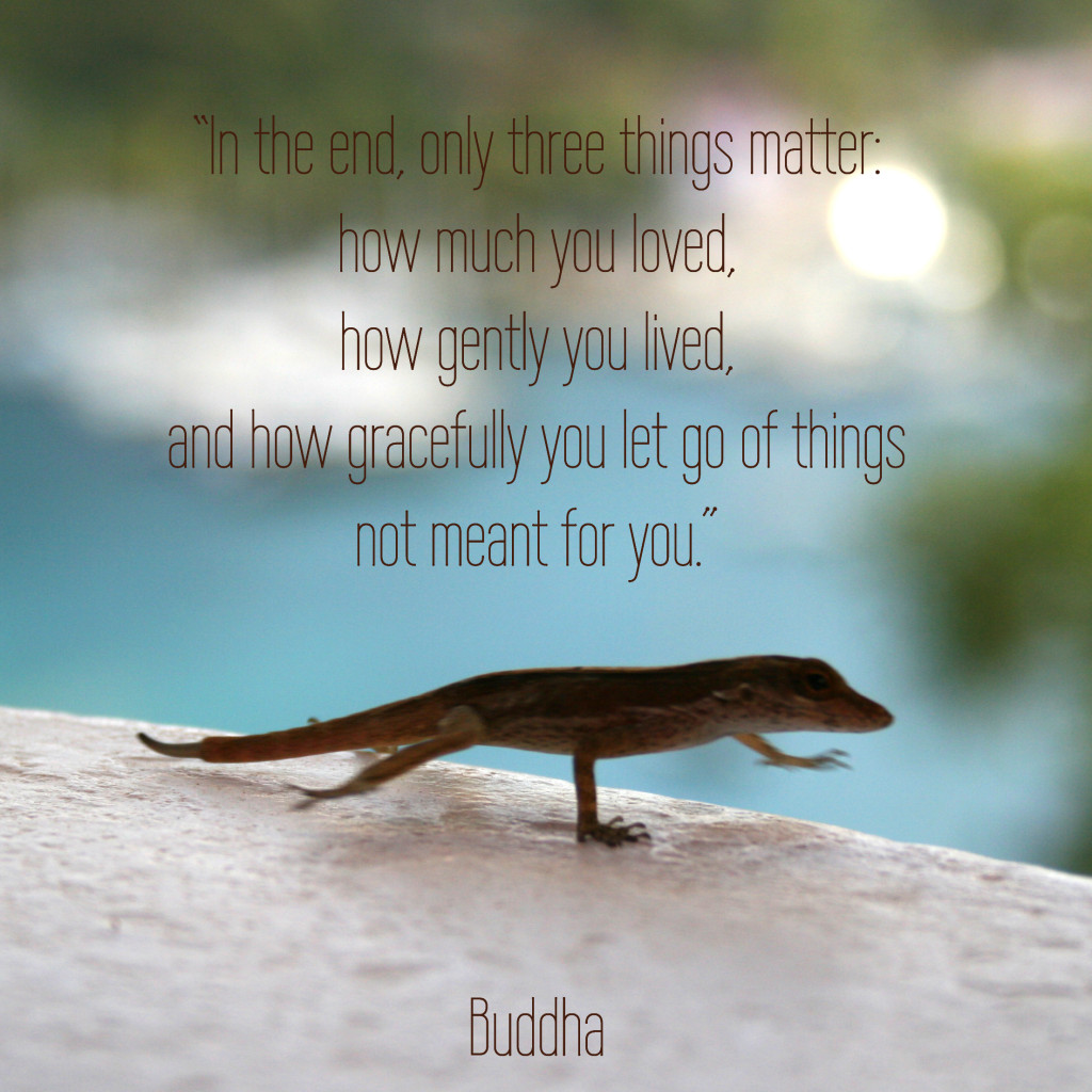 In the end, only three things matter.... | Ambuja Yoga